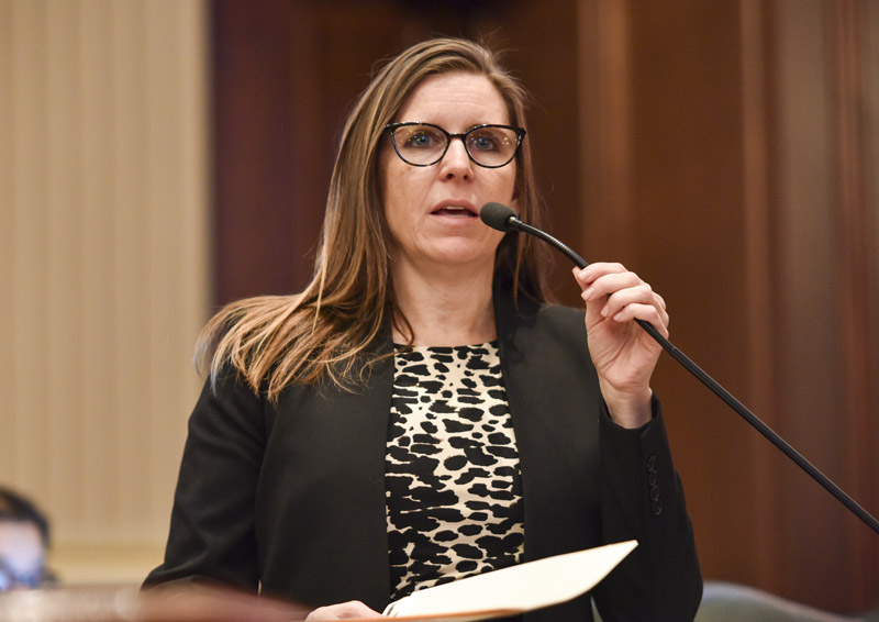 About Ann – Rep Ann Williams