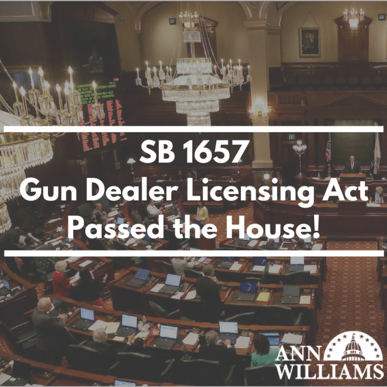 Passage of Gun Control Legislation in Springfield – Rep Ann Williams